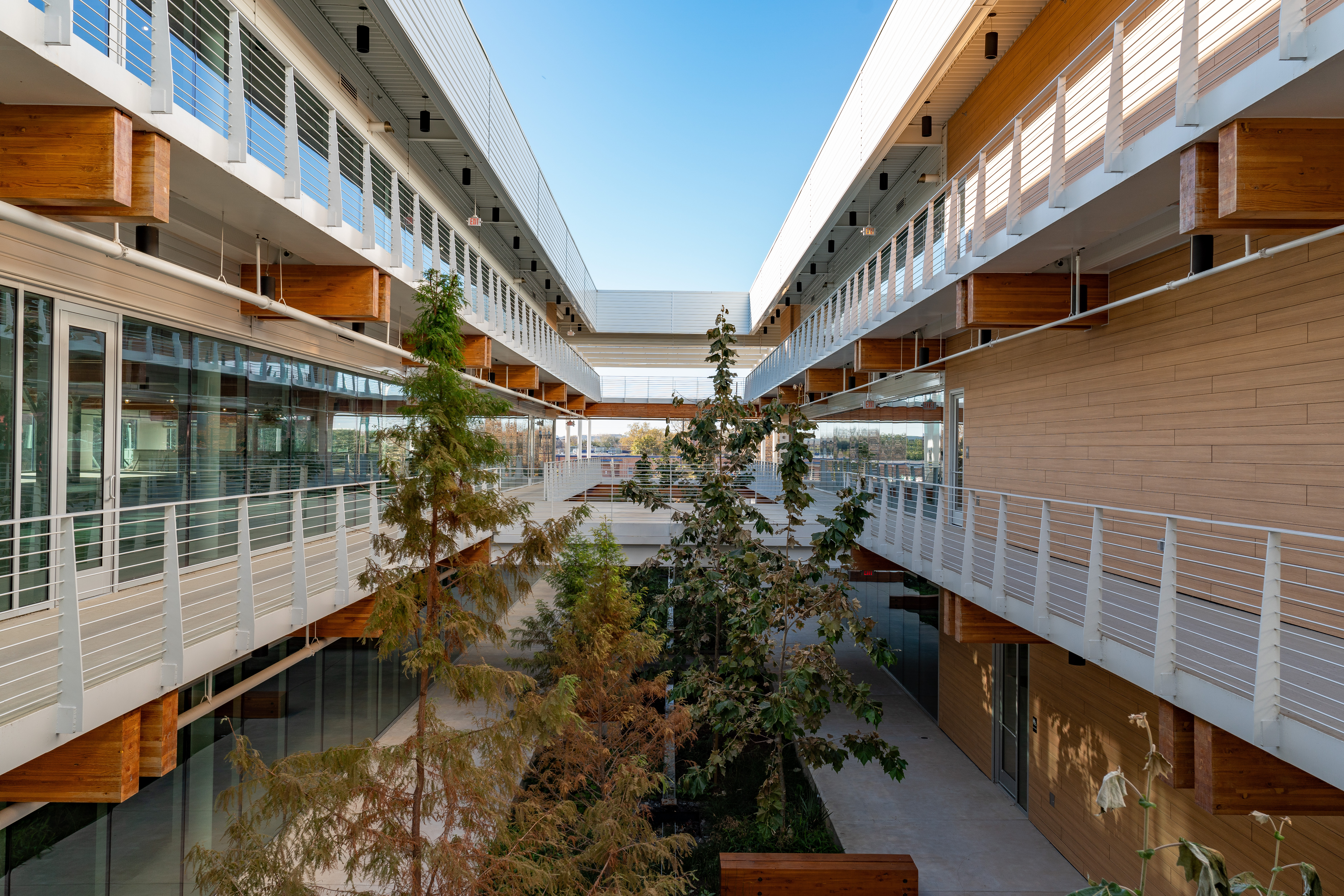 Timberlyne Commercial | Fifth+Tillery Office Complex