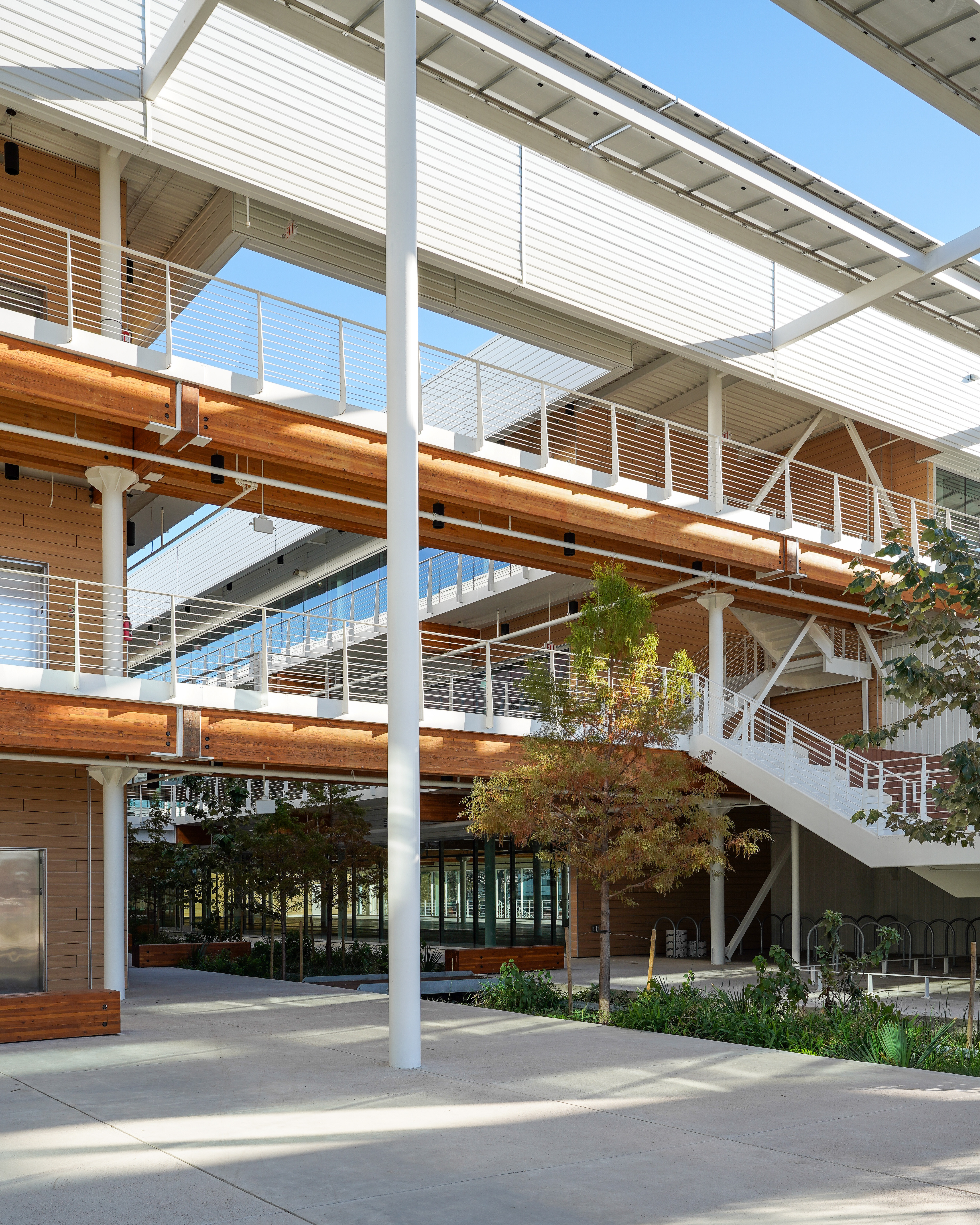 Timberlyne Commercial | Fifth+Tillery Office Complex