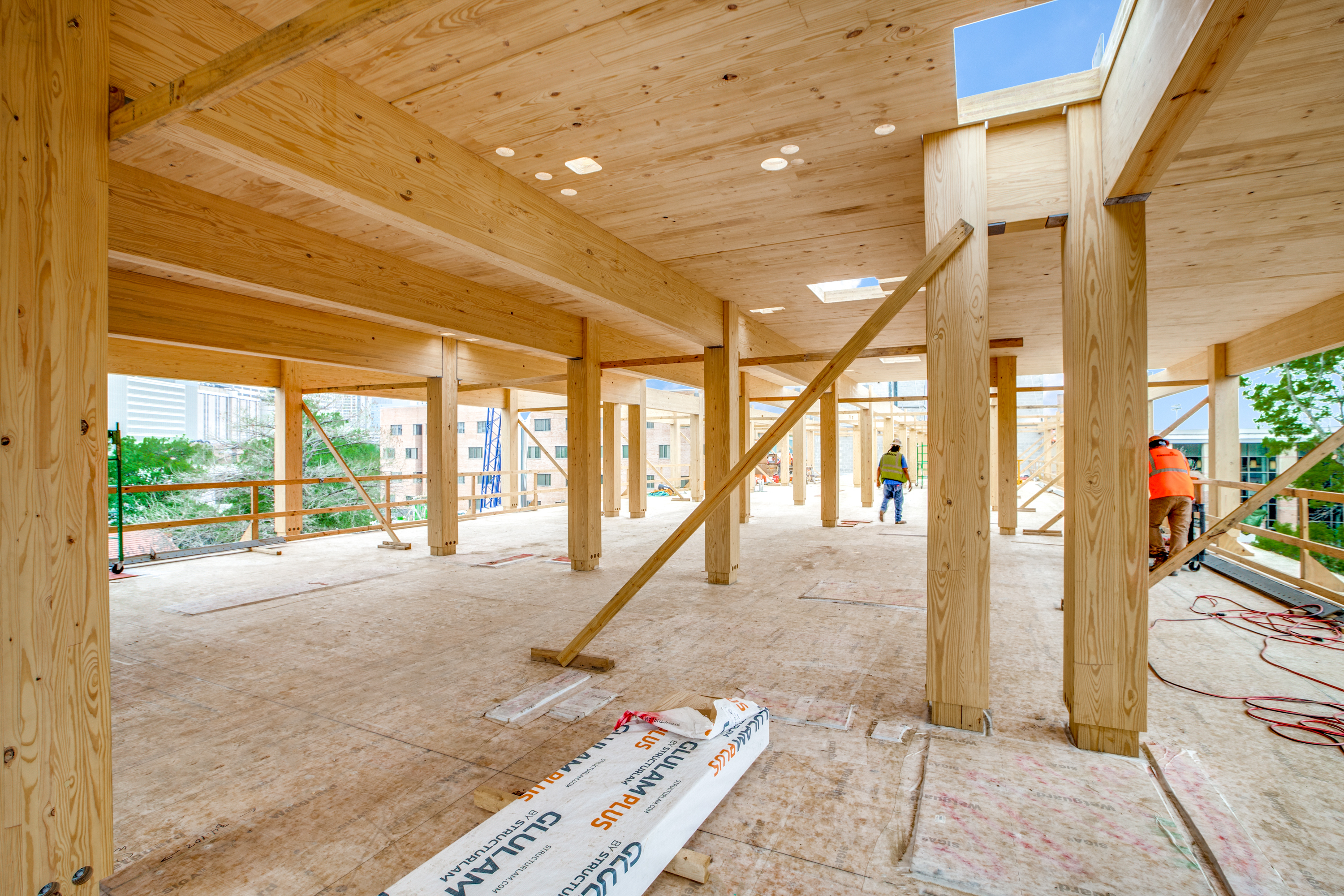 Timberlyne Commercial | Mass Timber